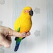 Sun Conure Figurine Crochet Parakeet Plush Toy as Gift for Parrot ...