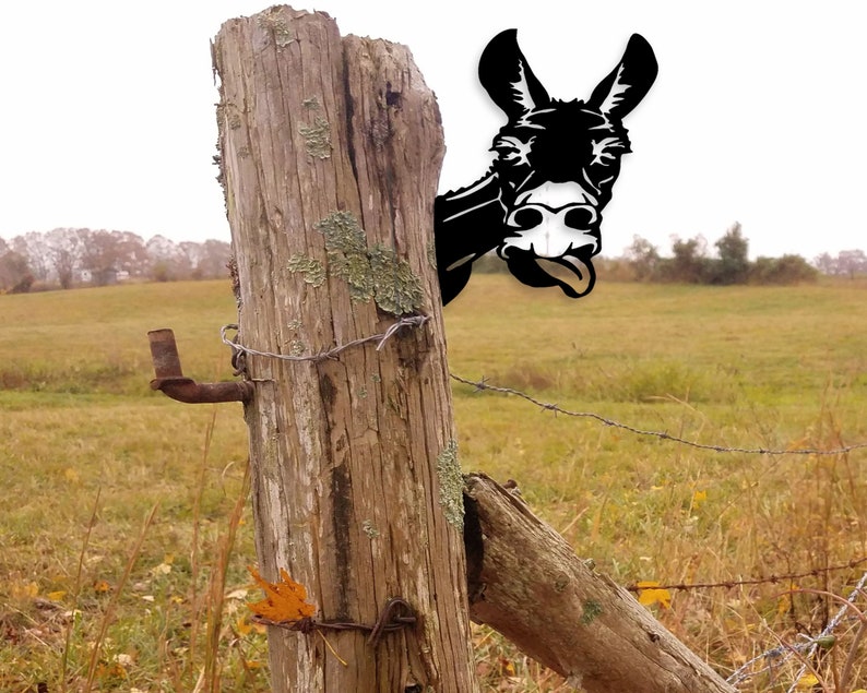 Garden Metal Peeping Mule Head, Outdoor Ornament Waterproof Powder ...