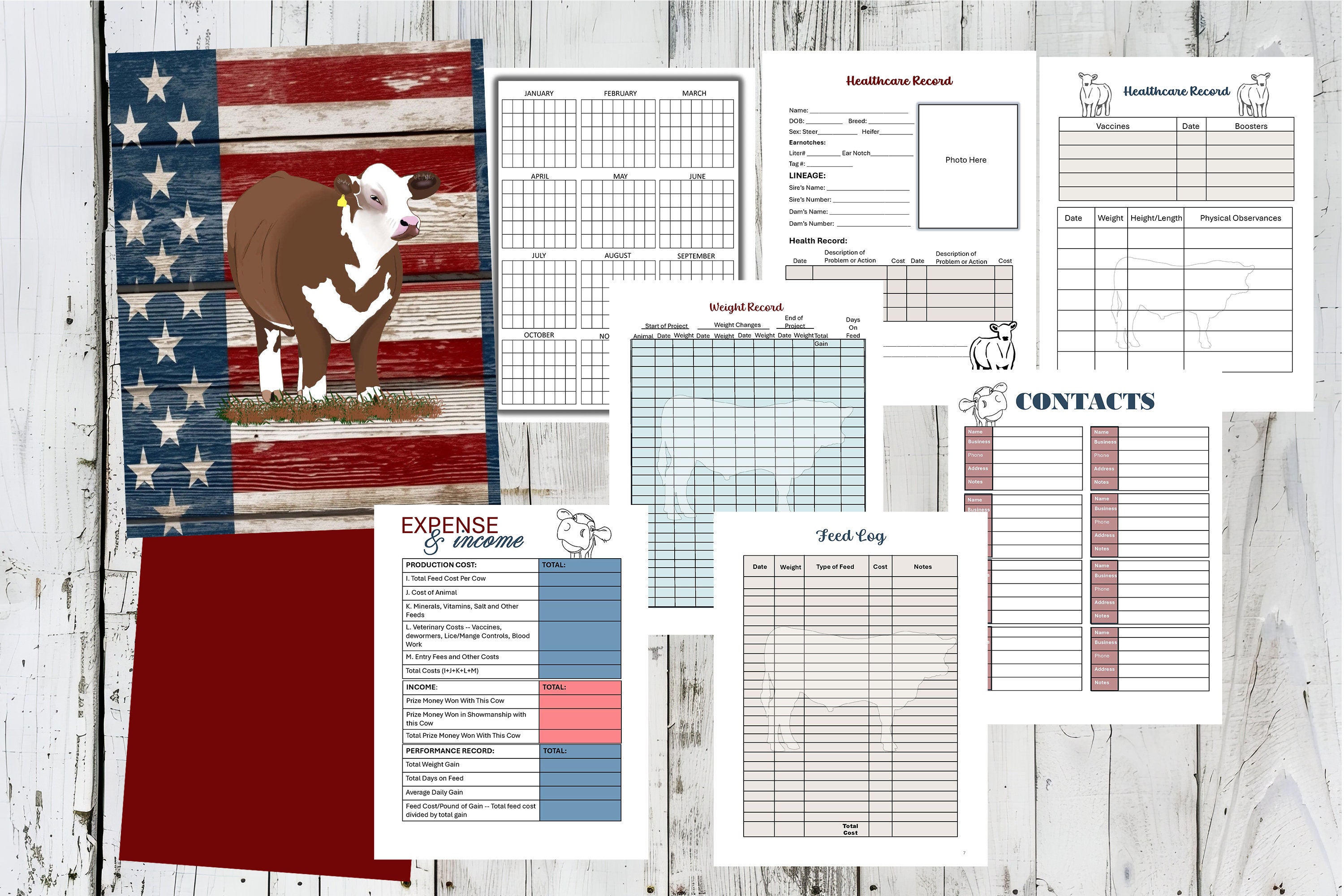 PRINTABLE, Instant Download, Livestock Show Record Planner, Show Steer ...