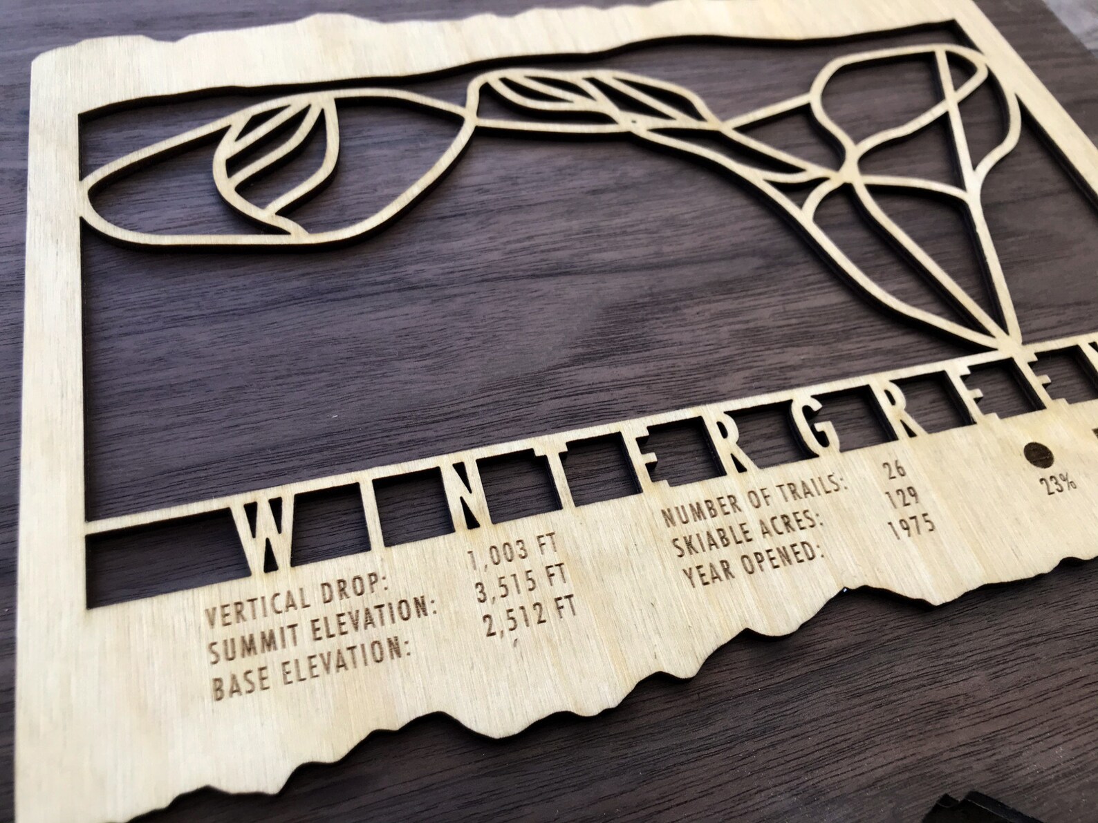 Wintergreen Ski Map Art Gift for Skiers & Snowboarders - Etsy