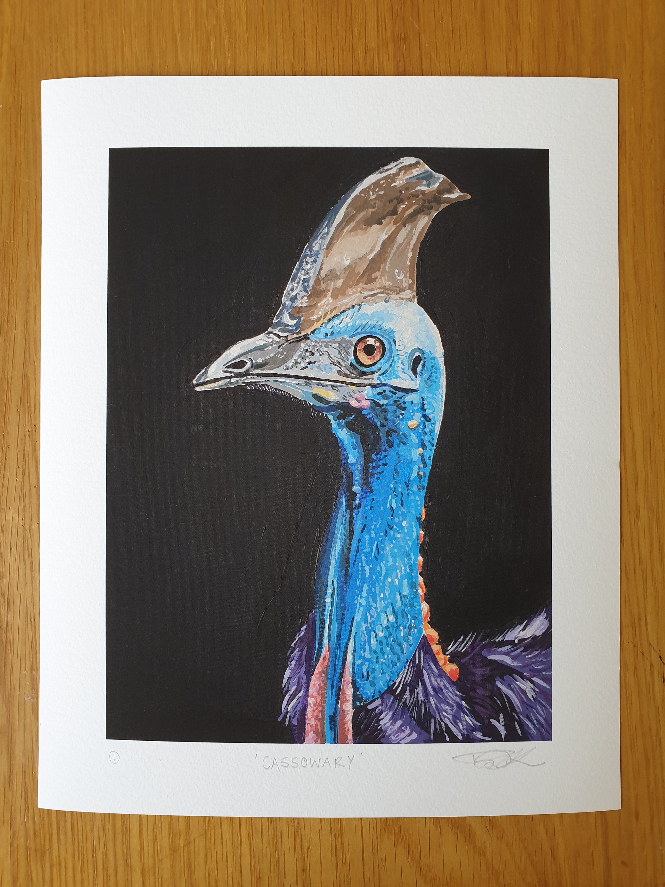 High Quality Art Print - 8x6" Image - Cassowary - From Original Artwork ...