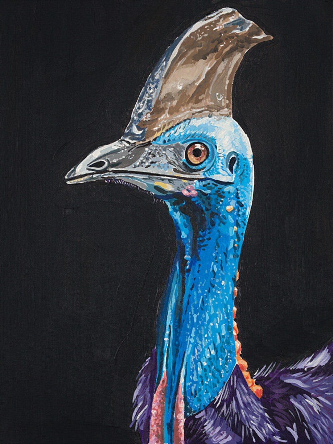 High Quality Art Print - 8x6" Image - Cassowary - From Original Artwork ...