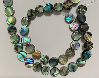 Flat Round Shell | Etsy