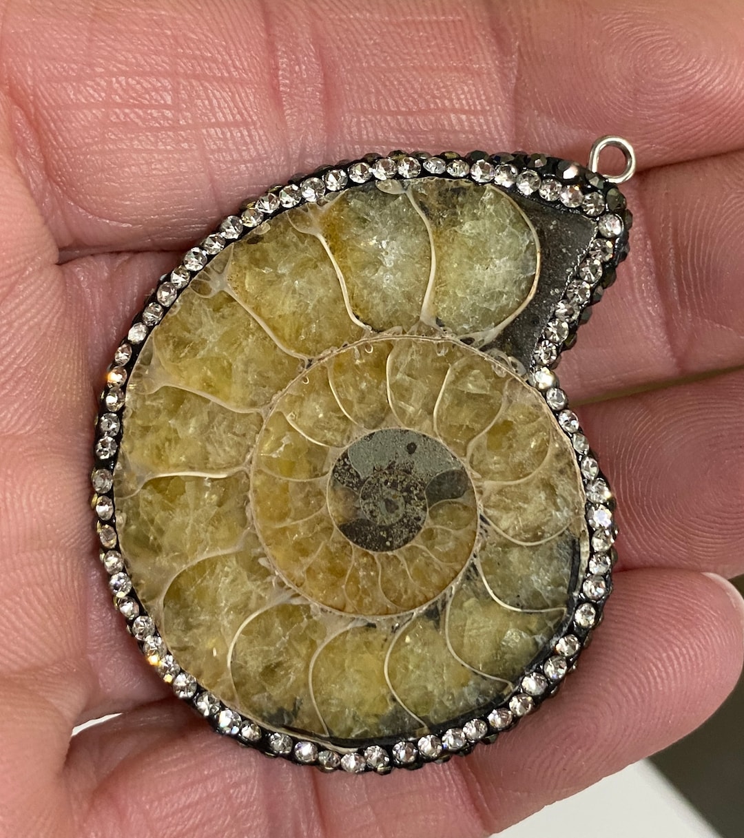 Large Genuine Ammonite Fossil High Quality Fancy Pendants With CZ ...