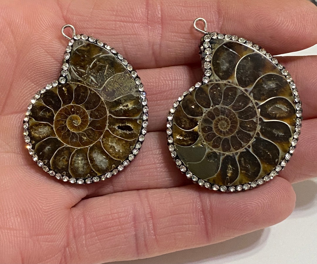 Large Genuine Ammonite Fossil High Quality Fancy Pendants With - Etsy
