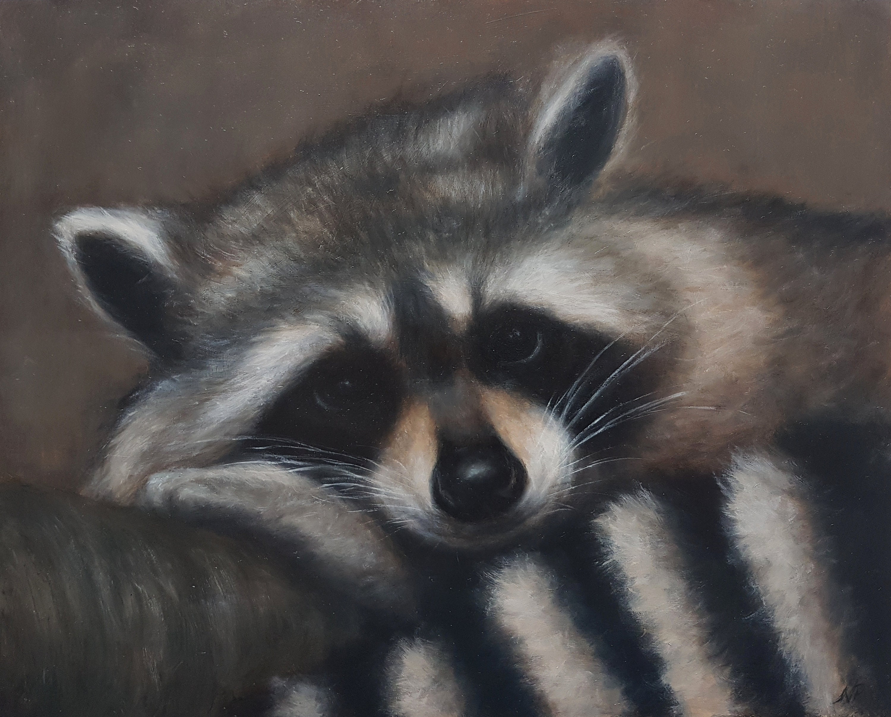 RACCOON OIL PAINTING / Raccoon Original Oil Painting / Small | Etsy