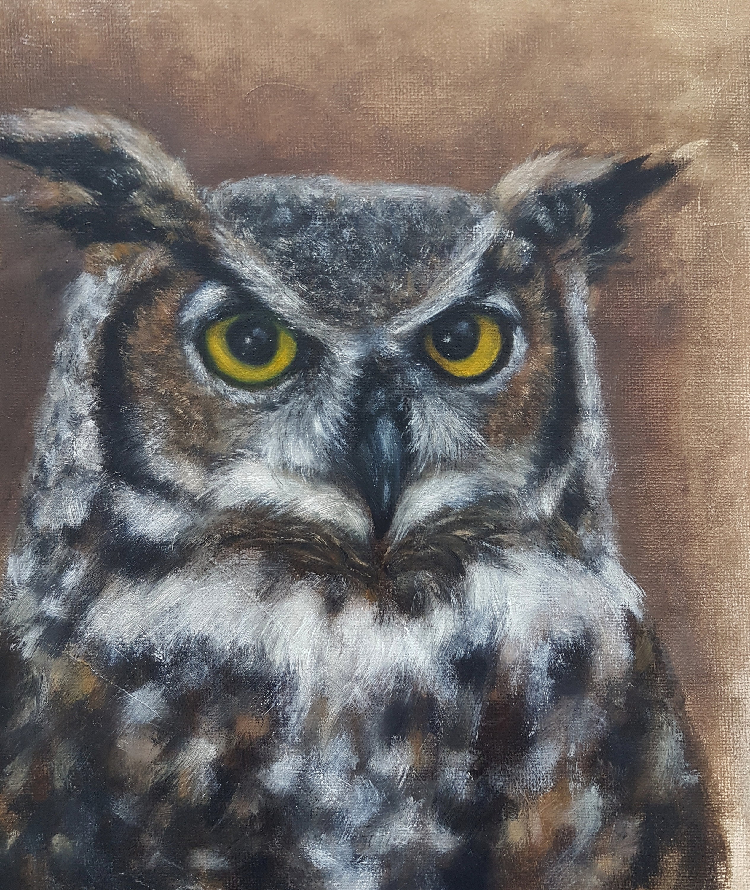 Realistic Owl Painting