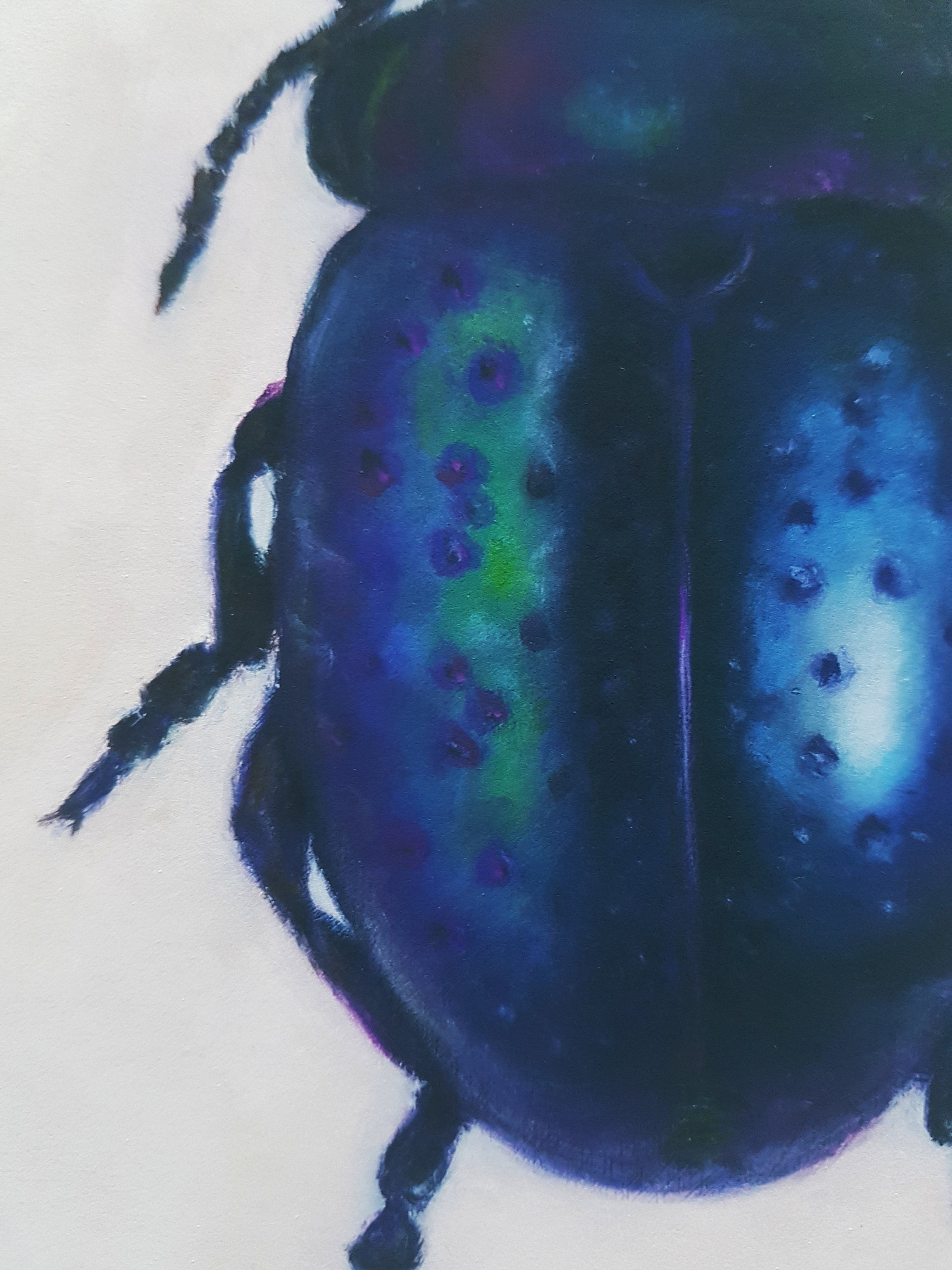 BEETLE WALL ART / Beetle Oil Painting Print / Blue Beetle Fine - Etsy
