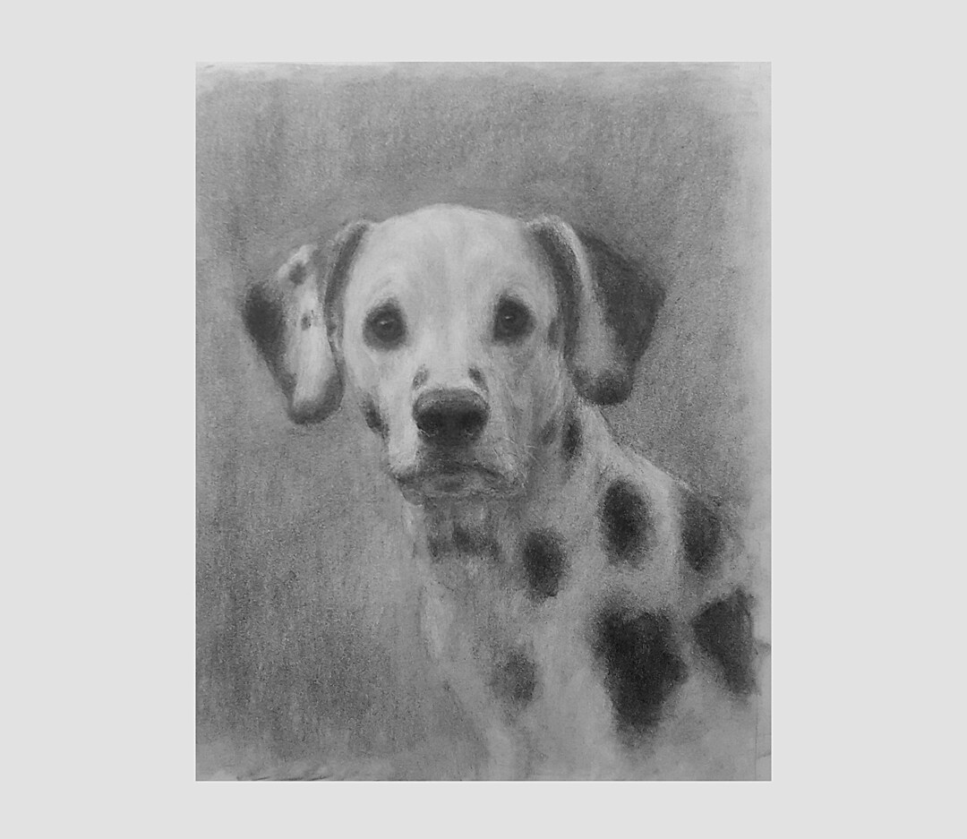 Custom Pet Portrait: Hand-drawn Charcoal & Graphite Animal Drawing - Etsy