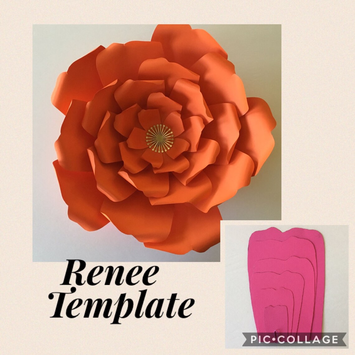 PDF Renee Template - Etsy