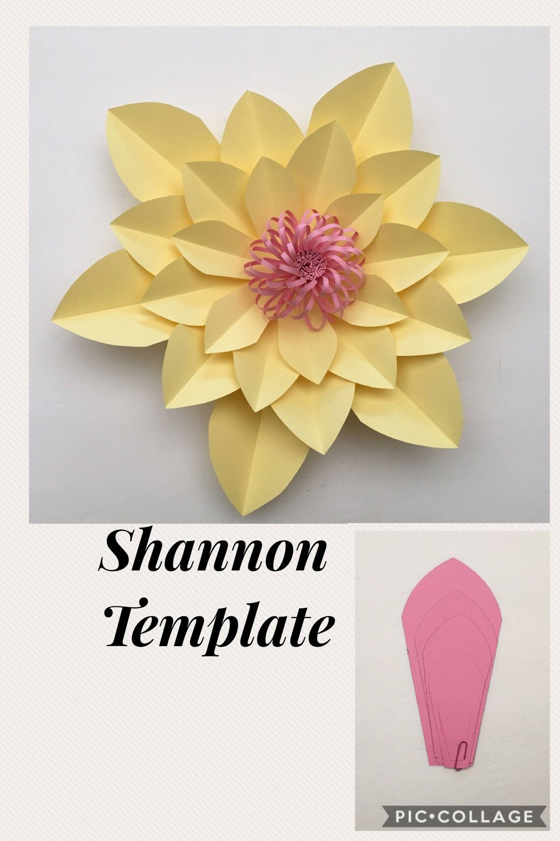 PDF Shannon Template - Etsy