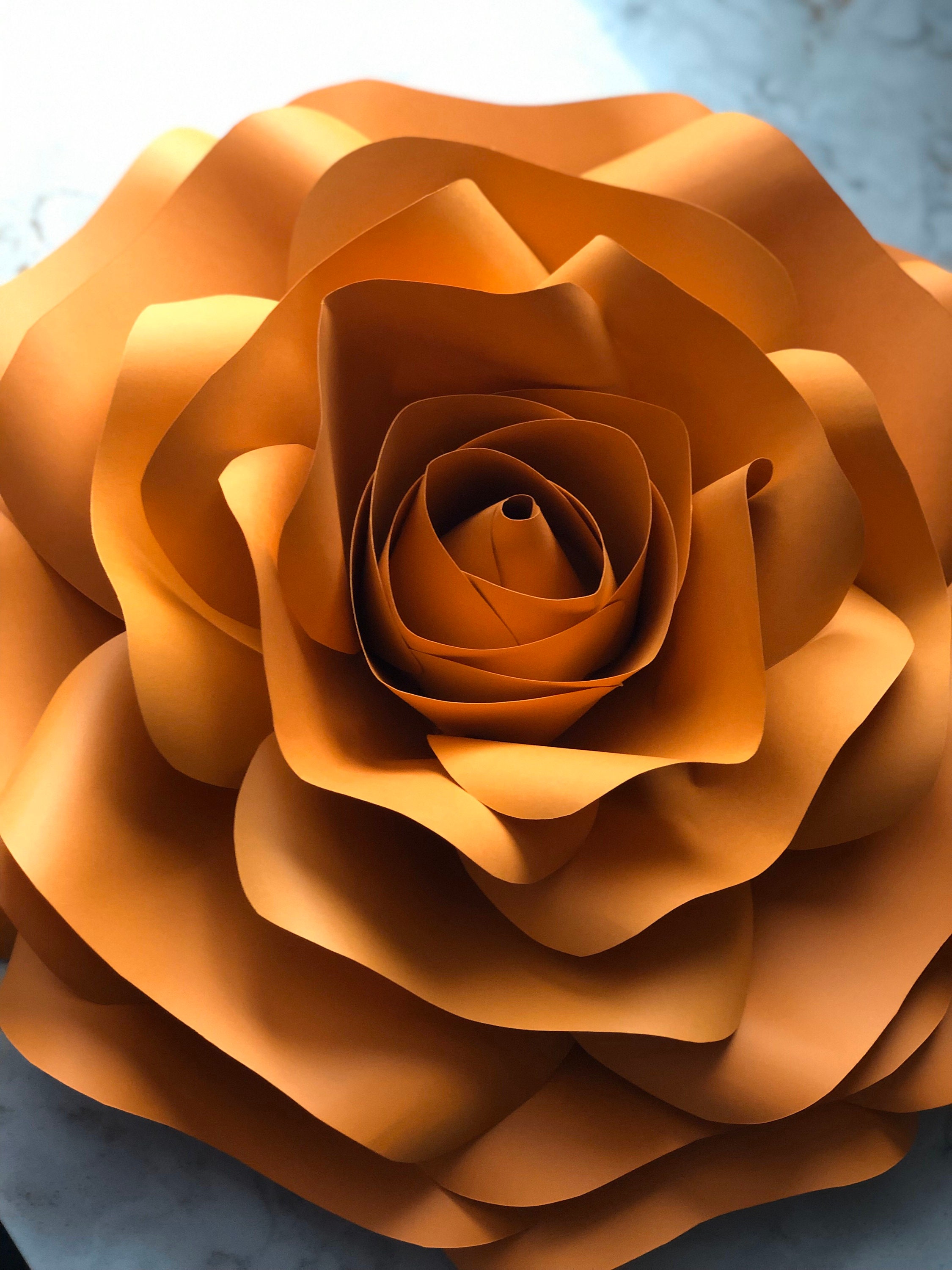 PDF Large Rose Template - Etsy