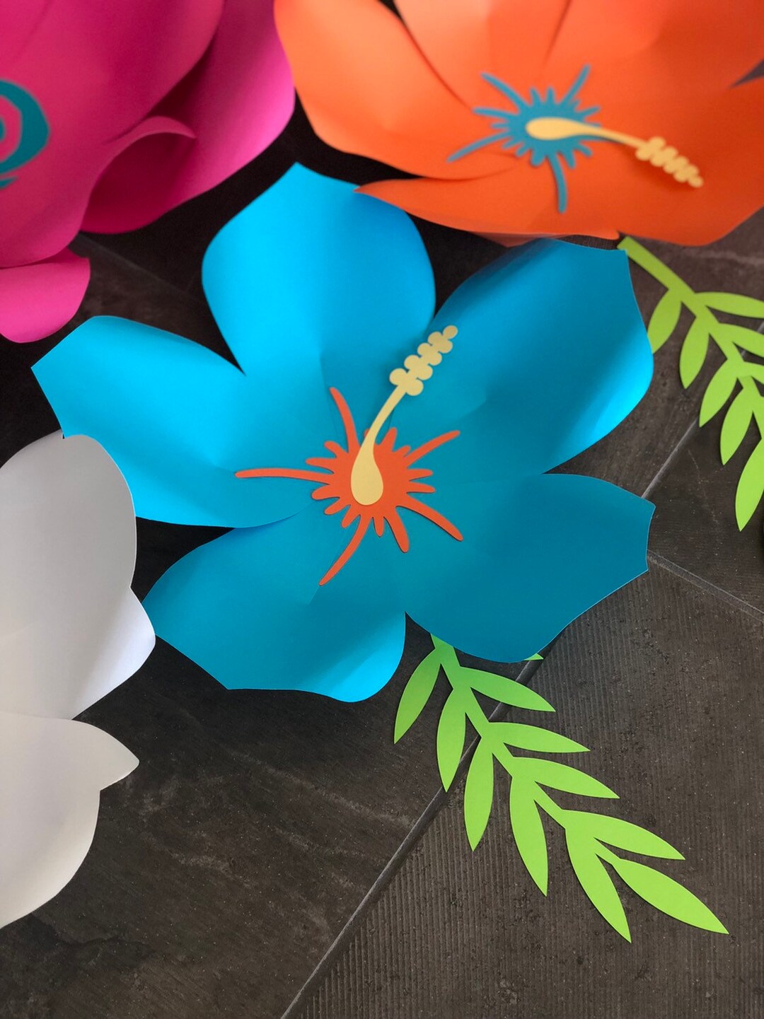 SVG Liah Template - Etsy
