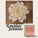 PDF Jasmine Template - Etsy