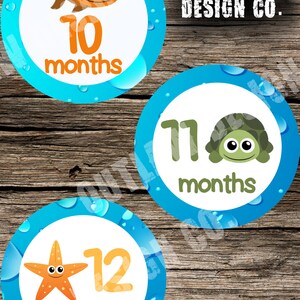 Baby Monthly Milestone Markers Printable Instant Download Gender ...