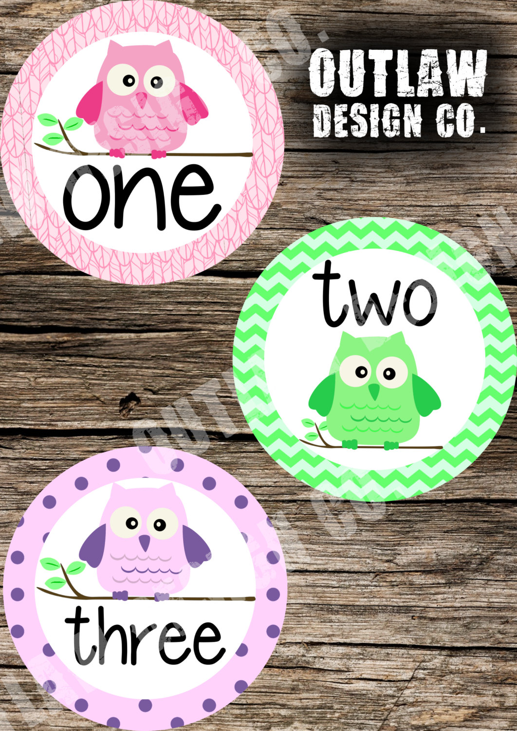 Gender Neutral Baby Monthly Milestone Markers Printable Instant ...