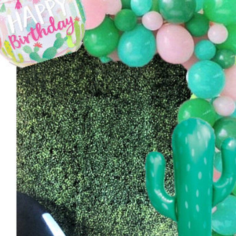 Cactus Theme - Etsy