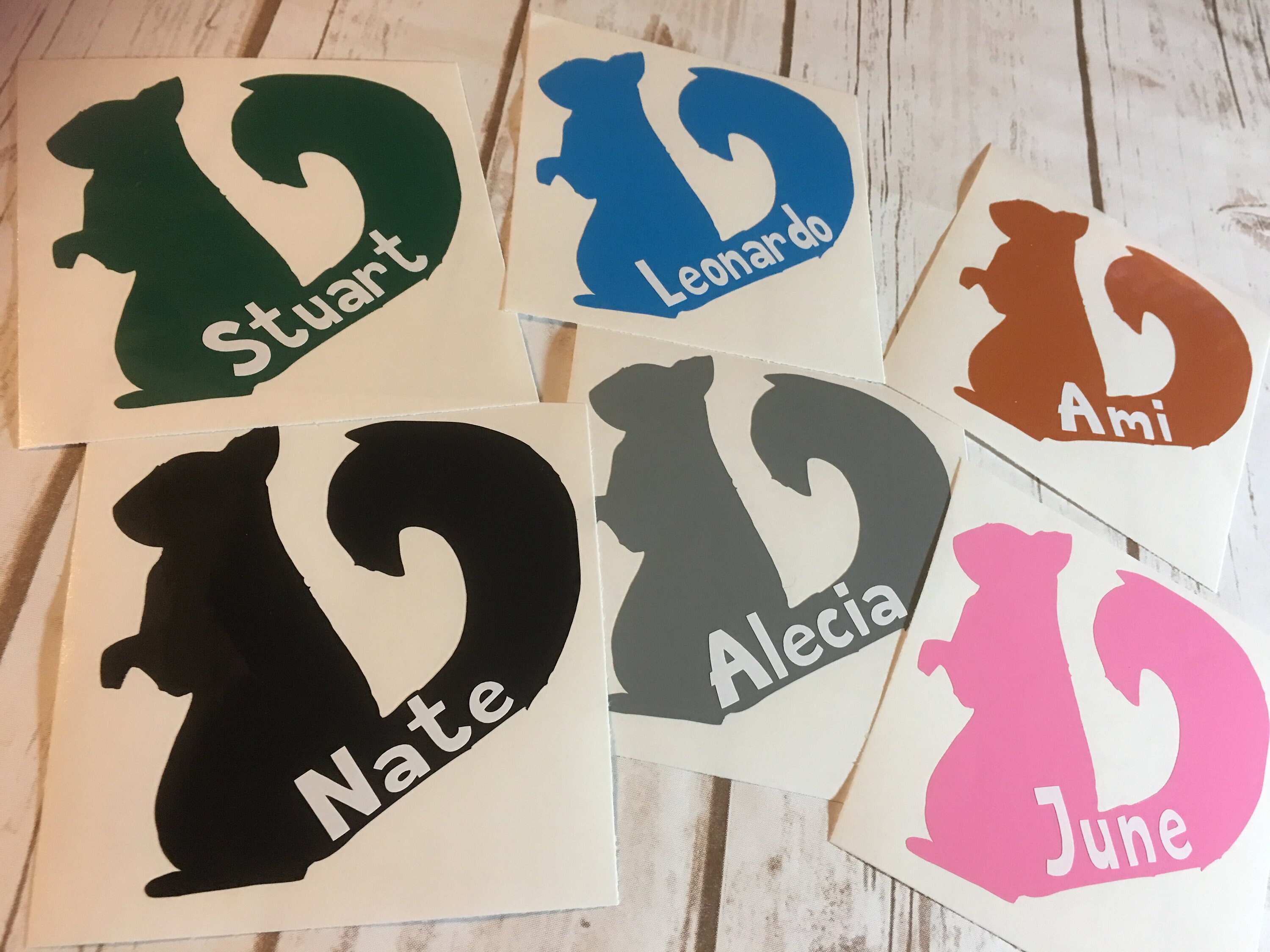 Squirrel Decal Monogram Decal Personalize Squirrel Decal - Etsy