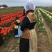 Dutch Costume for Girls - Volendam Costume - Etsy