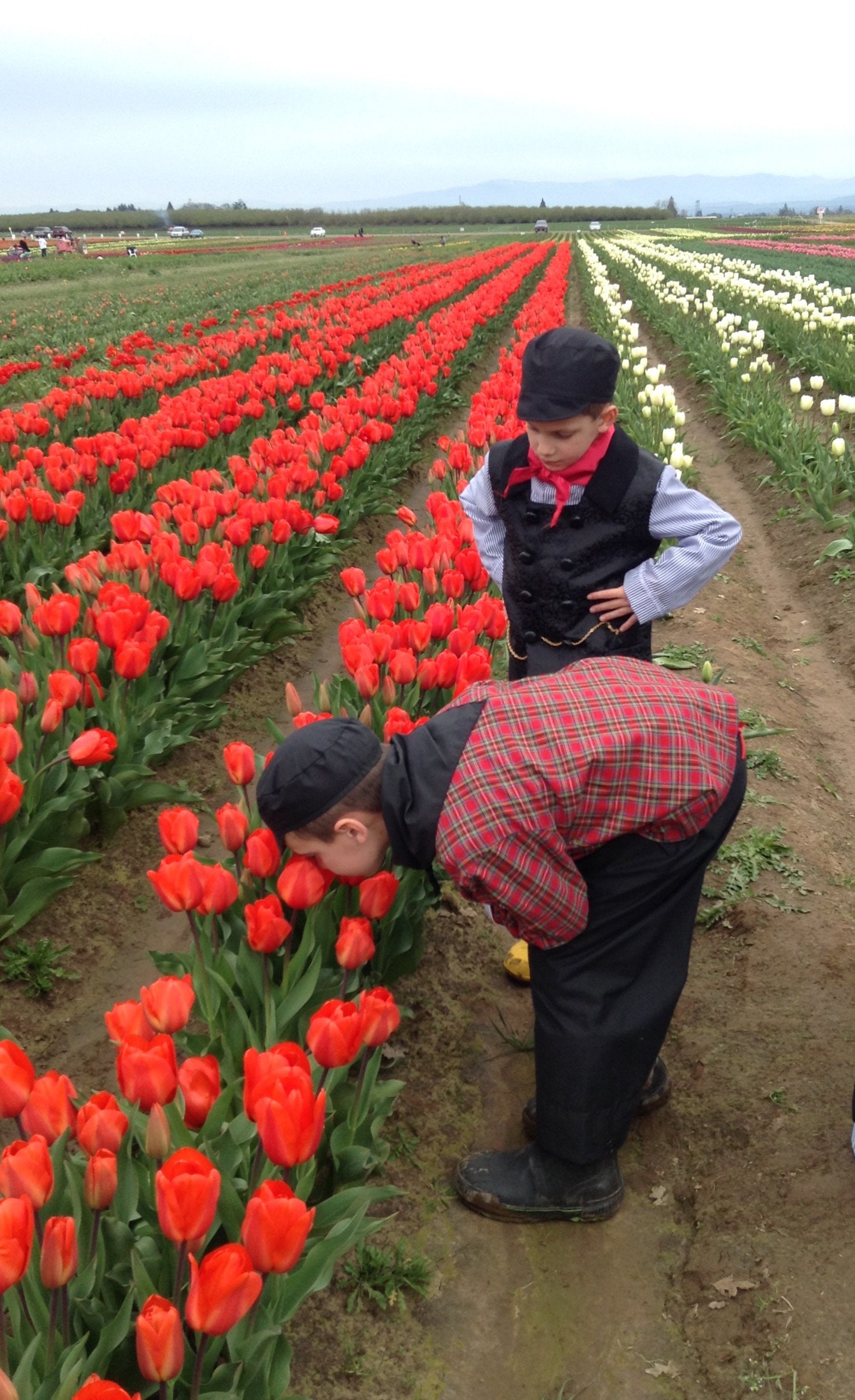 Dutch Costume for Boys - Volendam Costume - Etsy