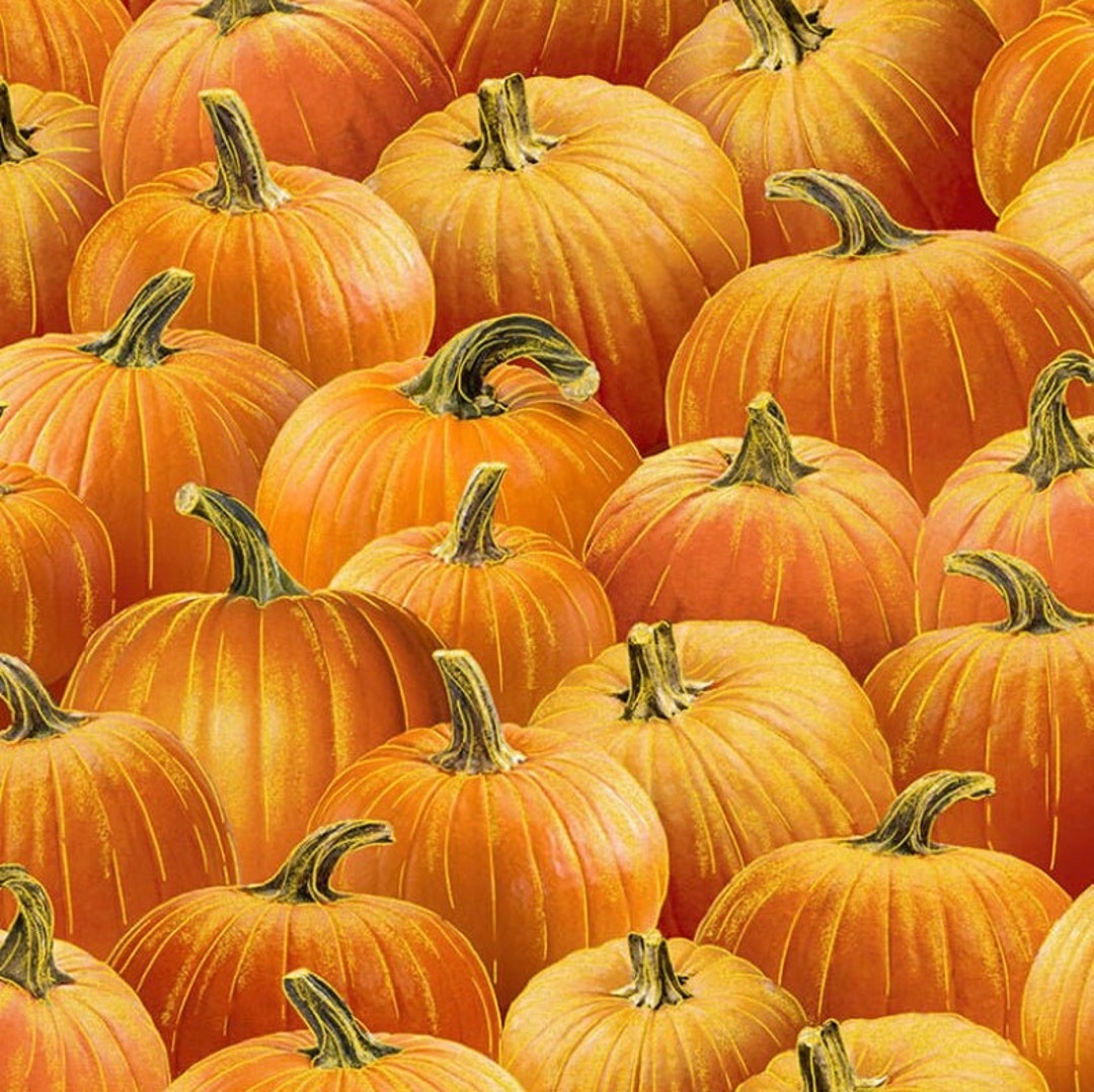 Gather Here - Packed Metallic Pumpkins - Metallic Cotton Fabric - Etsy