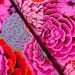 Kaffe Fassett Collective - Bekah Magenta Fabric by Philip Jacobs ...