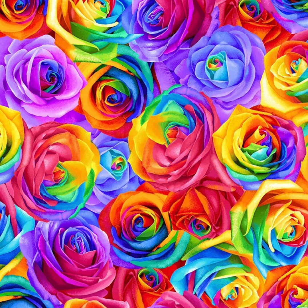 Rainbow Roses Wallpaper