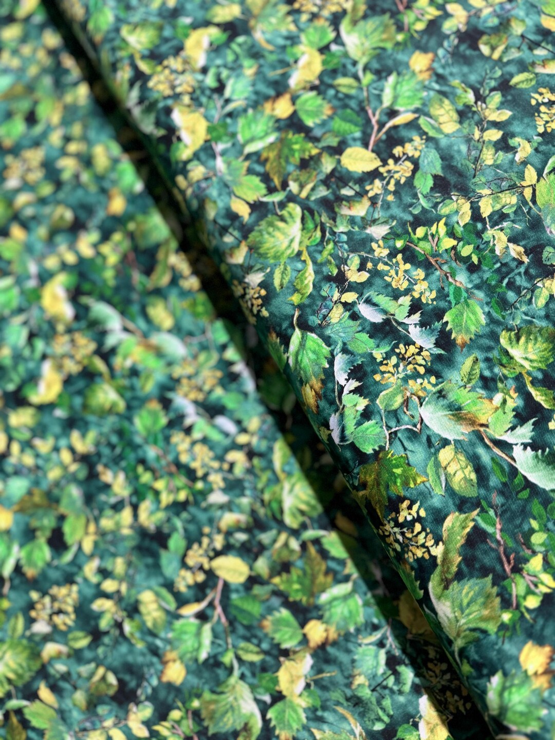 Blue Jay - Farm Stand - Packed Forest Branches and Leaves by Dona ...