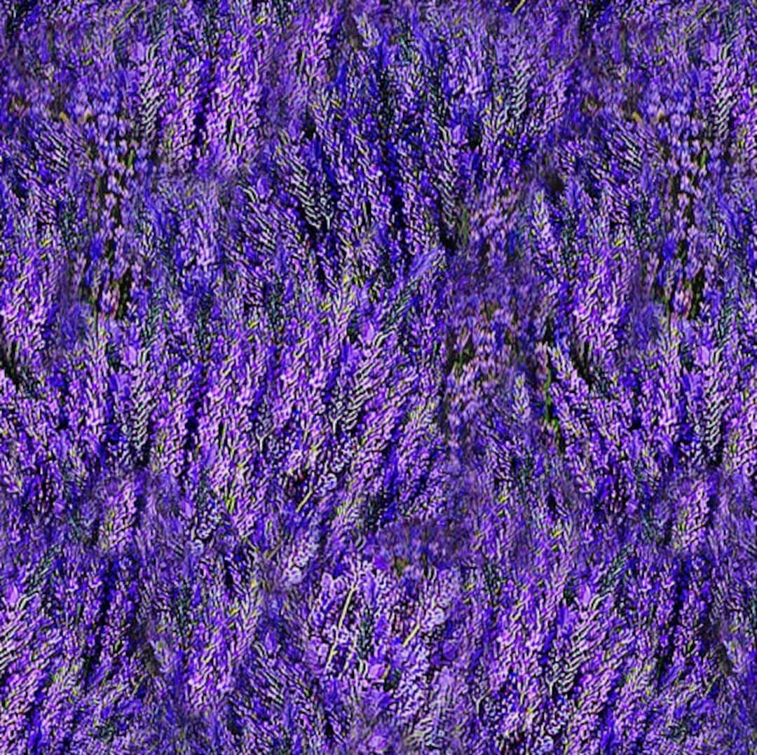 Lavender Floral Packed - Digital Print - Cotton Fabric - Etsy