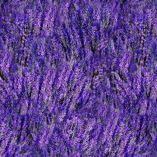 Lavender Floral Print Fabric - Etsy