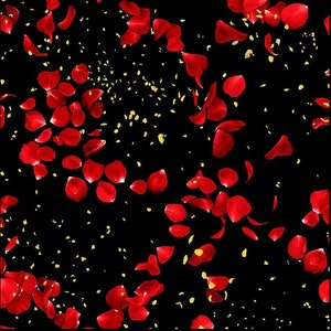 Timeless Treasures Gilded Rose Falling Red Metallic Rose Petals by ...