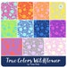 Tula Pink - True Colors - Wildflower Fat Quarter Bundle - 11 Fat ...