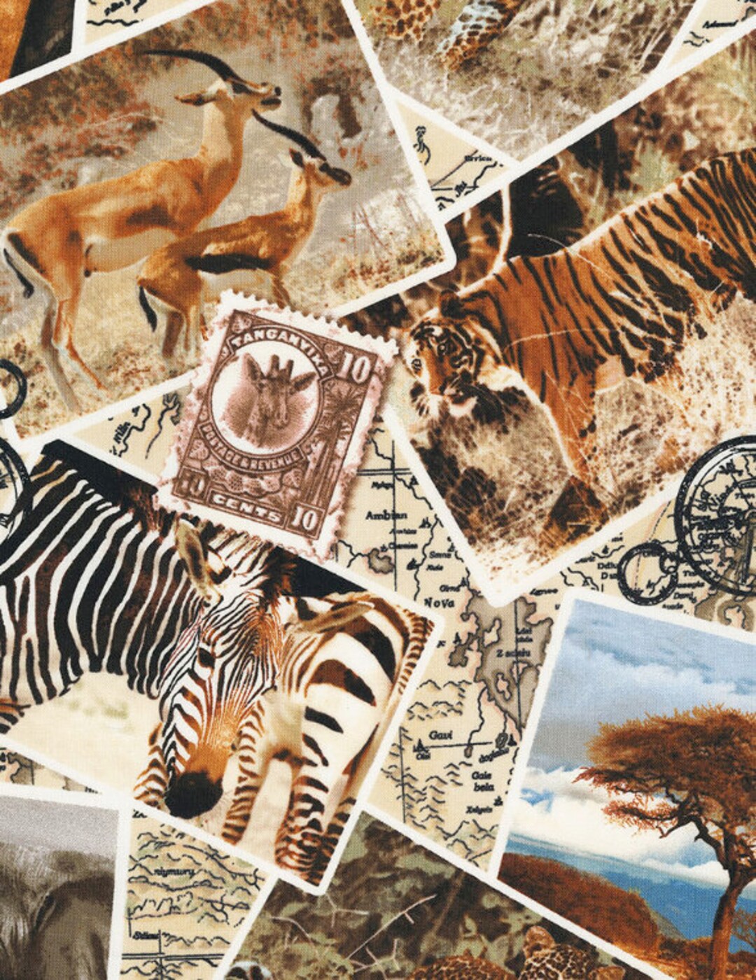 Safari - Safari Post Card - Cotton Fabric - Etsy