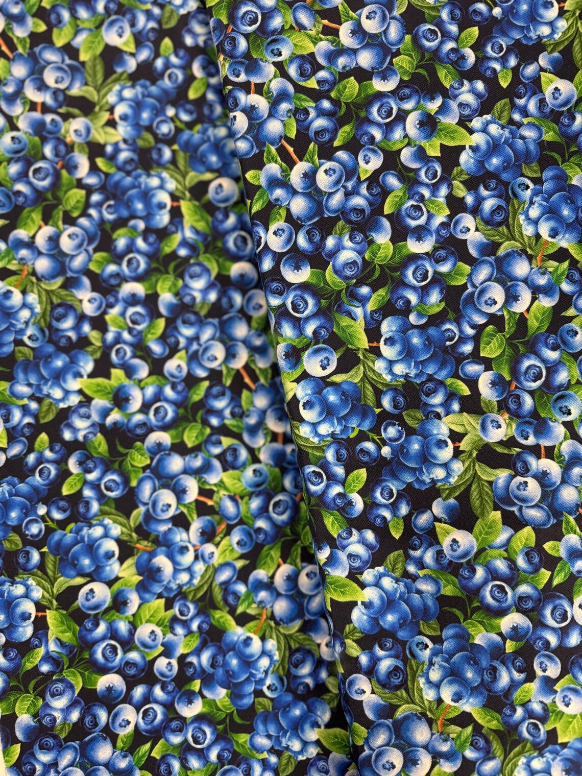 Blueberry Delight - Blueberries Bush Fabric by Timeless Treasures - Etsy