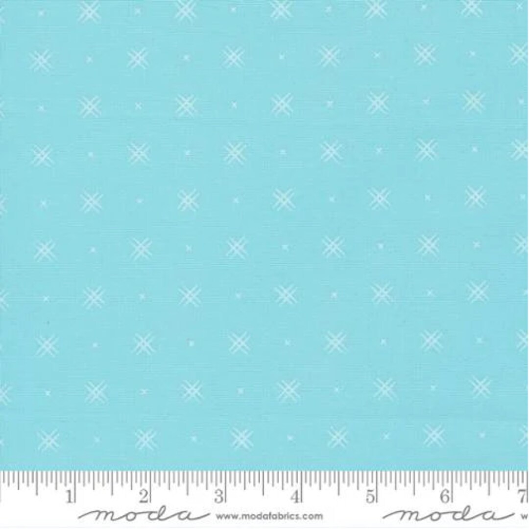 Beyond Bella New Robins Egg Fabric by Bound Co. - Cotton Fabric - Etsy