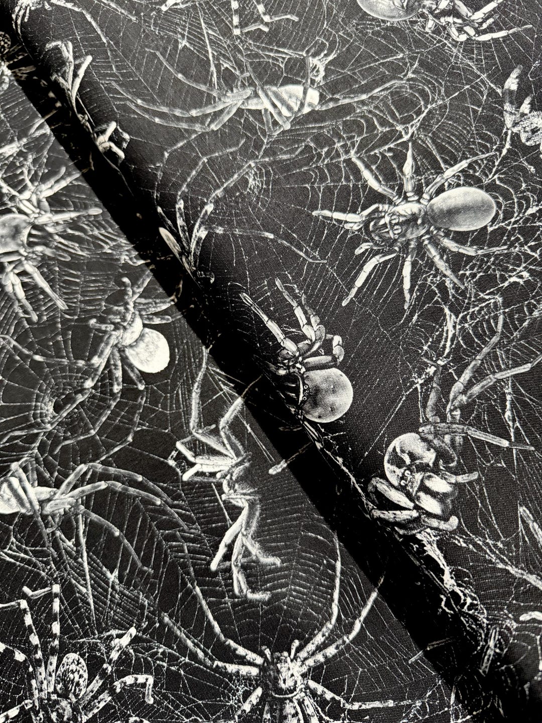 Wicked - Spiders on Webs Fabric - Digital Print - Cotton Fabric - Etsy