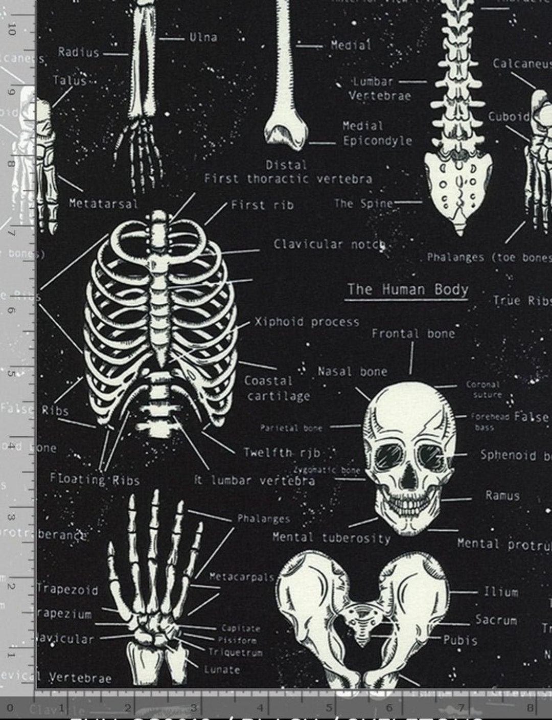 Glow in the Dark - Skeletons - Cotton Fabric - Etsy