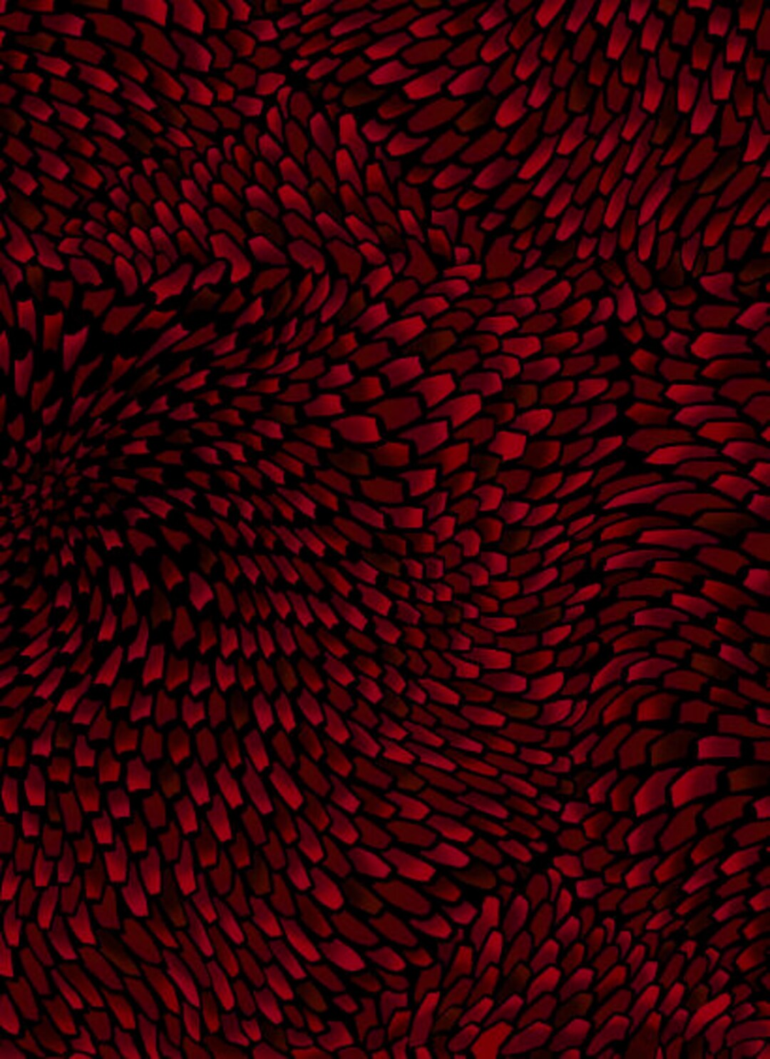 Aruba Anemone Garnet Fabric by Jinny Beyer Cotton Fabric - Etsy