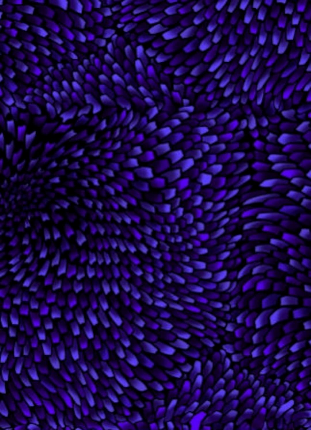 Aruba - Anemone Royal Fabric by Jinny Beyer - Cotton Fabric - Etsy