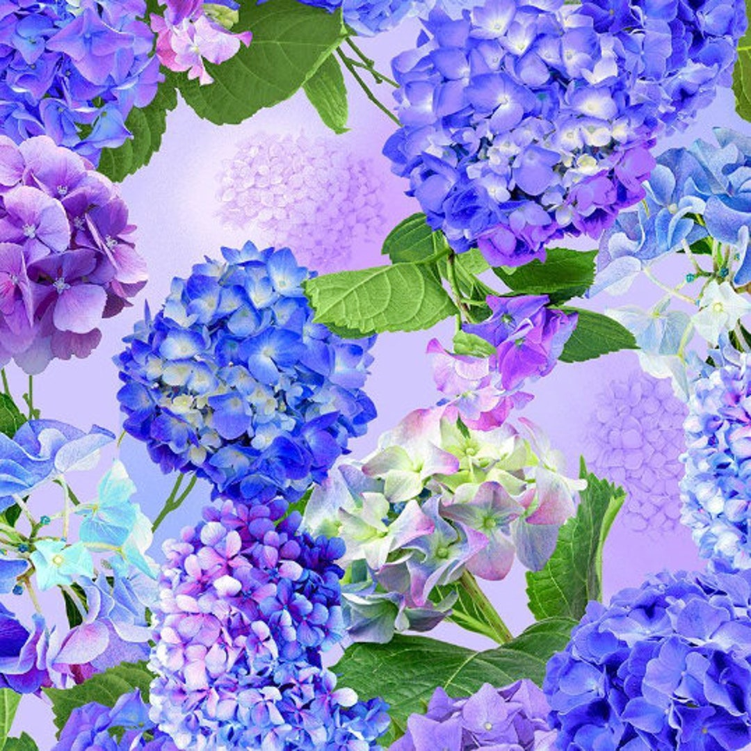 Hydrangea Bliss - Hydrangea Large Florals Fabric by Chong-a Hwang - Cotton Fabric - Etsy