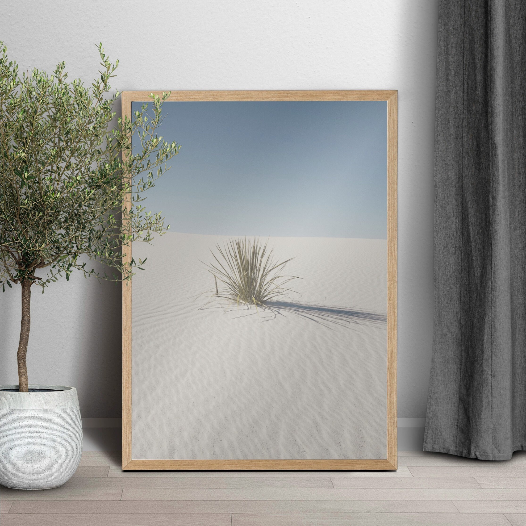 Yucca Grass, Southwest, White Sands, Photo, Digital Print, Landscape ...