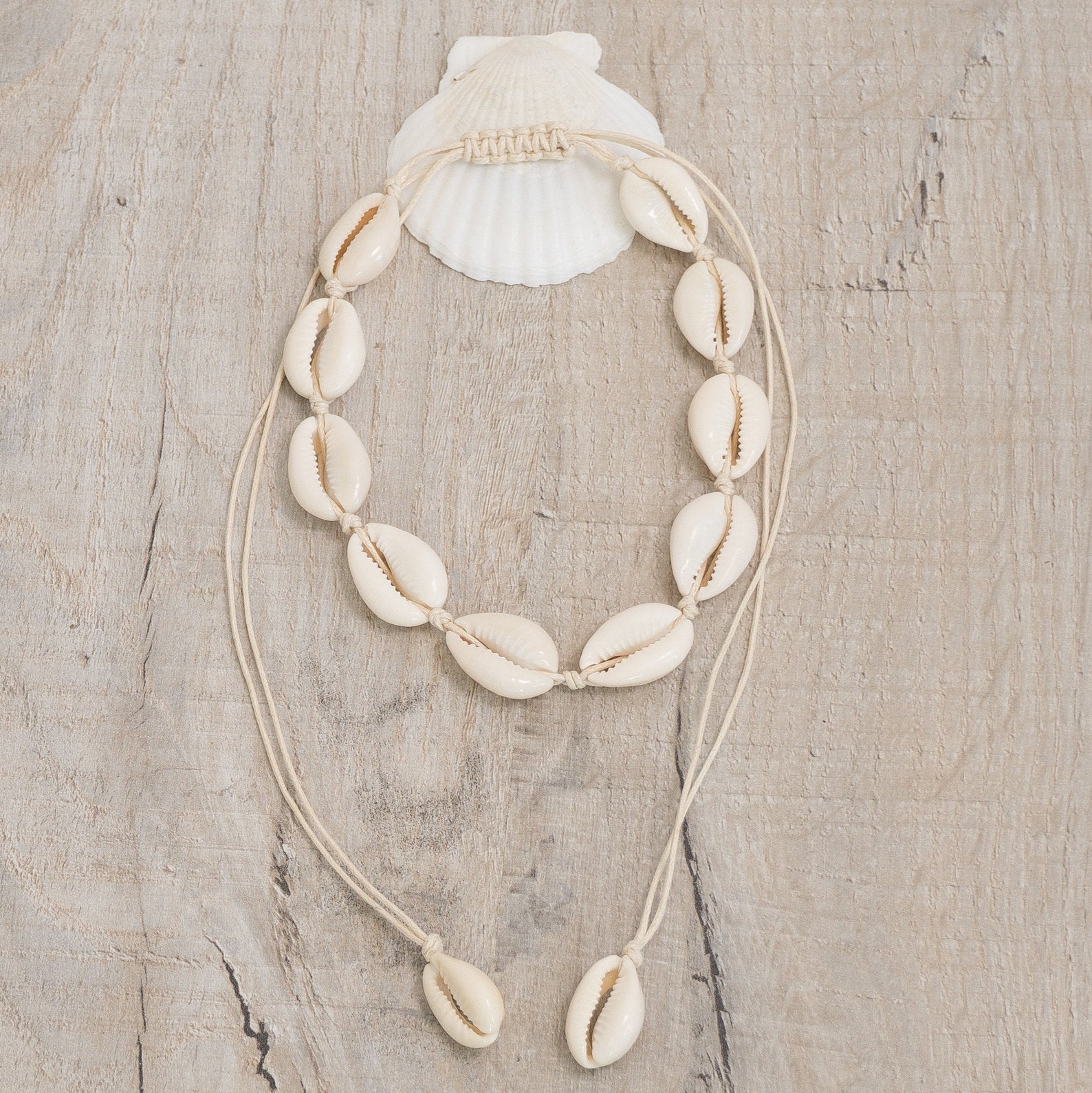 Cowrie Shell Necklace Cowrie Shell Choker Seashell Beach | Etsy UK