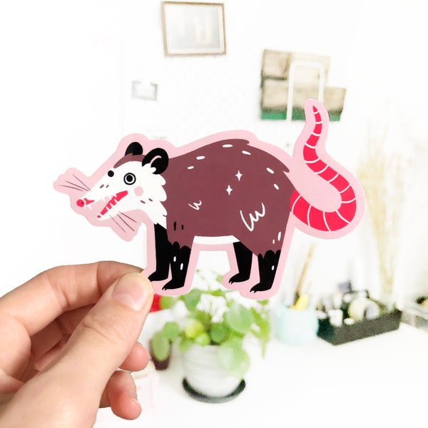 Opossum Stickers - Etsy