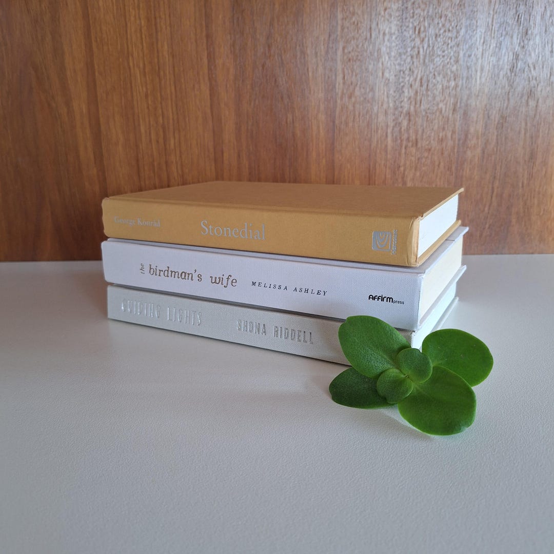 Silver Gold Decorative Book Bundle - White Grey Home Decor Books ...