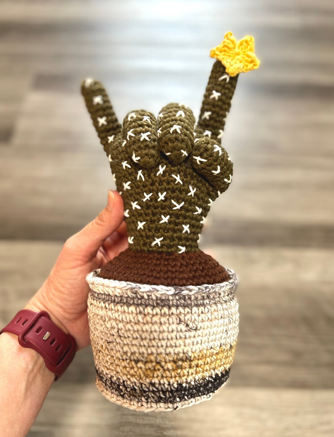 Rock in Roll Cactus - Etsy