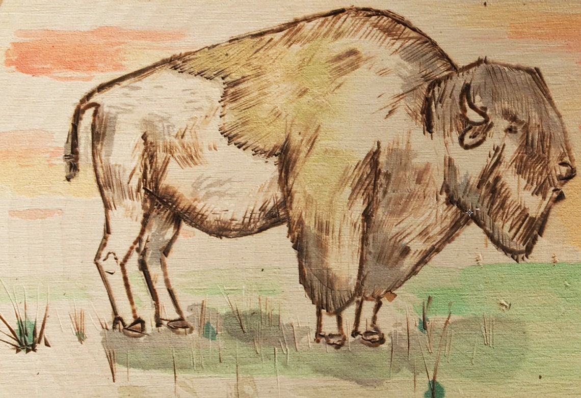 Buffalo Wood Burning, Bison Wood Burning, Pyrography, Painted Wood ...