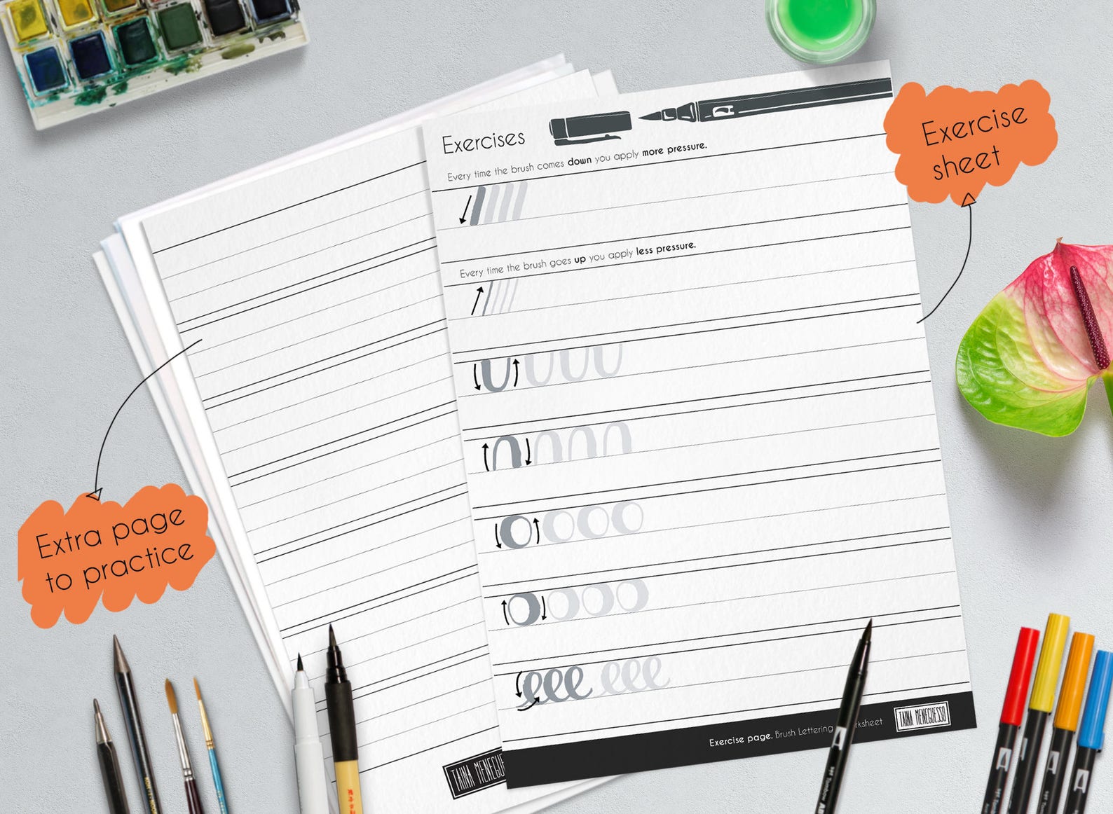 Learn Brush Lettering With a Complete Practice Guide Worksheet - Etsy