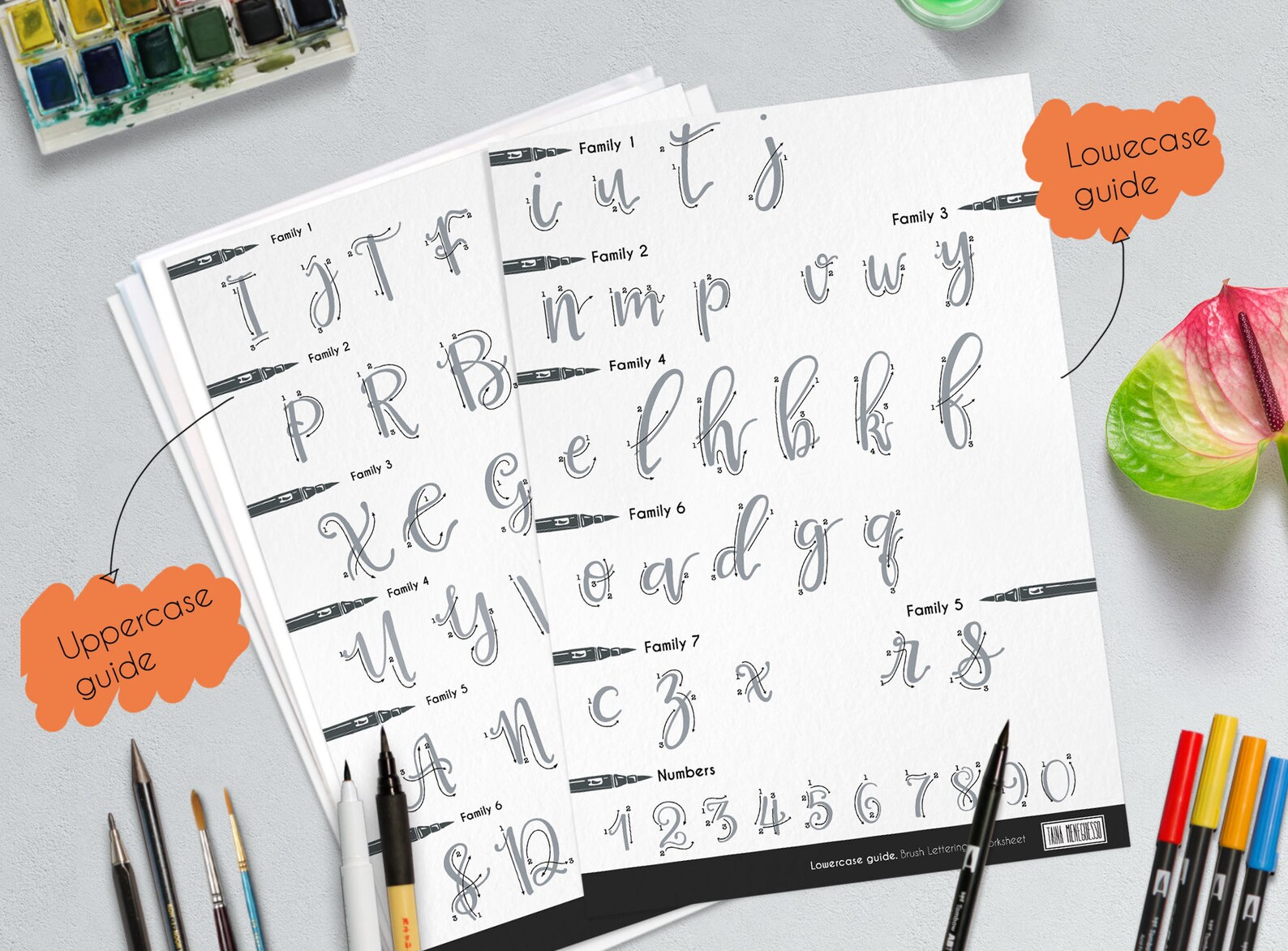 Learn Brush Lettering With a Complete Practice Guide Worksheet - Etsy