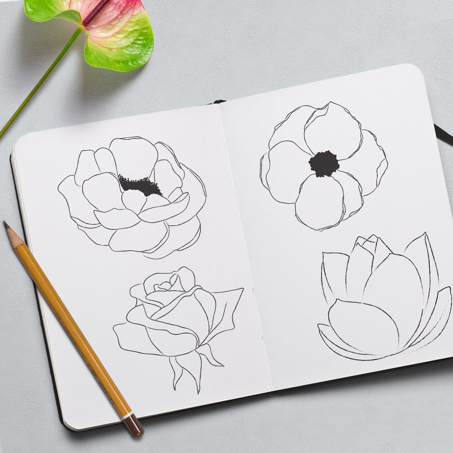 Draw Flowers With a Instruction and Step by Step Worksheets | Etsy