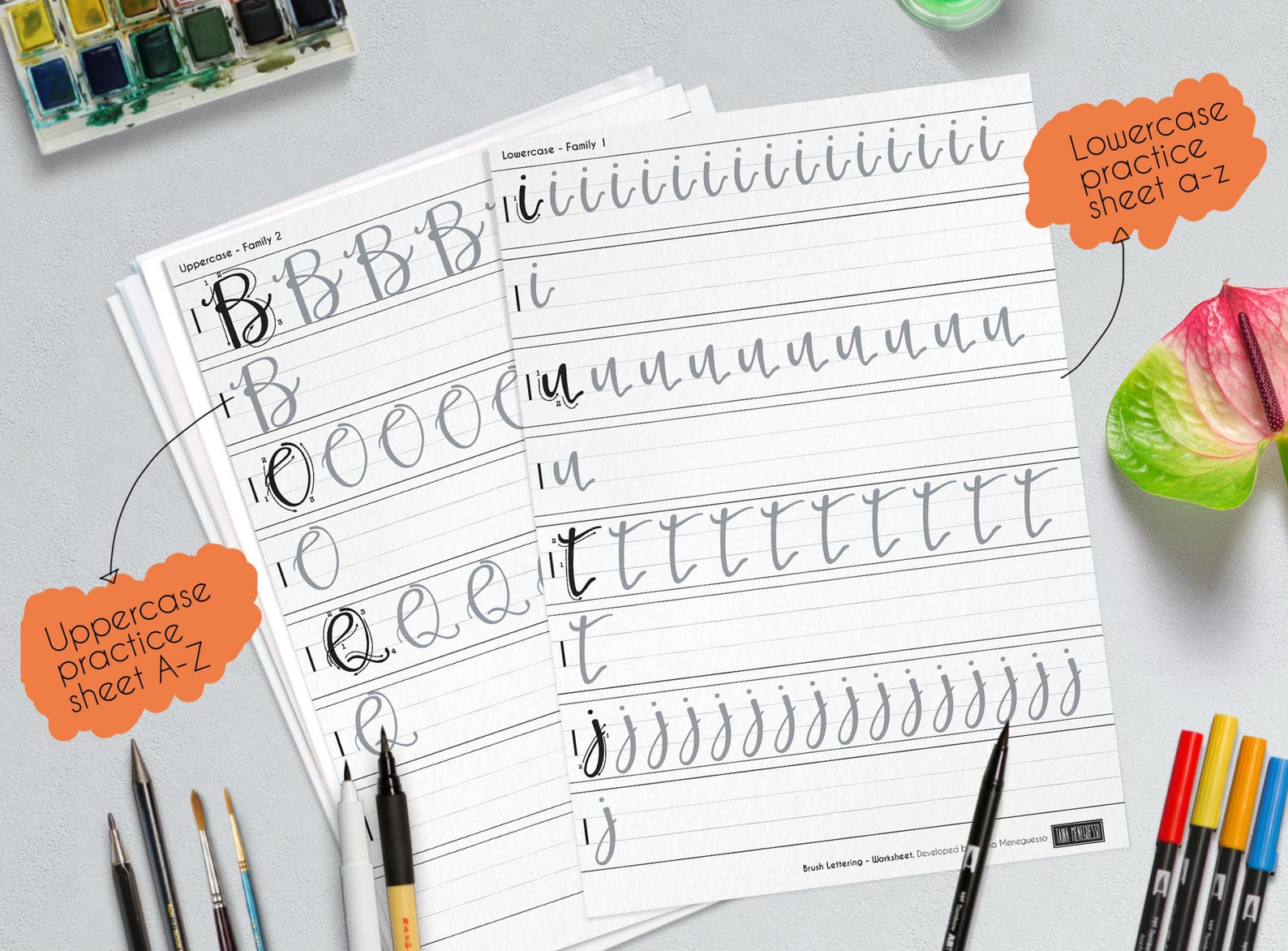 Learn Brush Lettering With a Complete Practice Guide Worksheet - Etsy
